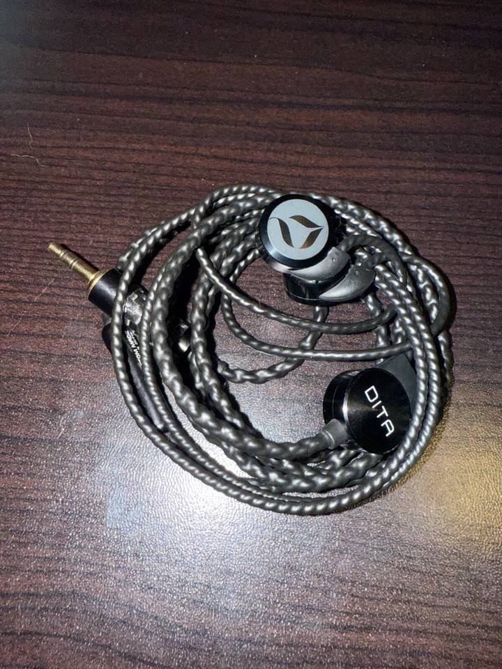Dita Audio The Answer Truth Edition Single Dynamic Driver 1DD IEM - No Box | eBay