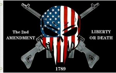 3X5 Liberty or Death DEMON SKULL 2nd Amendment 1789 Gun Rights Flag ...