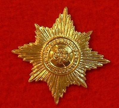 IRISH GUARDS CAP BADGE METAL BERET BADGE (ARMY BADGES) | eBay UK