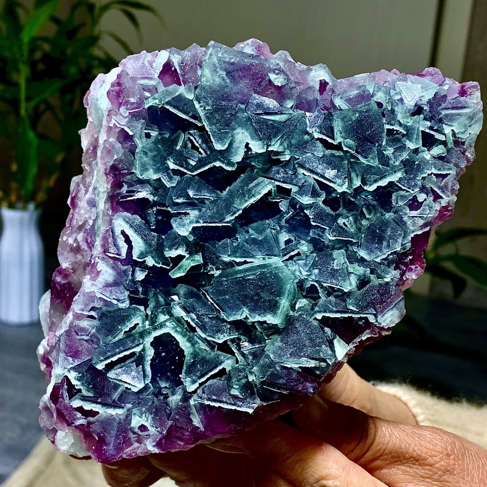 3.48LB Natural transparent green-purple cubic fluorite mineral crystal ...