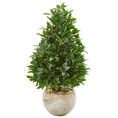 38-inch Bay Leaf Cone Topiary Indoor/Outdoor Uv Resistant Artificial ...