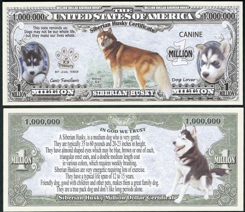 Lot of 25 BILLS - Siberian Husky Dog Bill Puppy & Adult Pics, Facts on ...