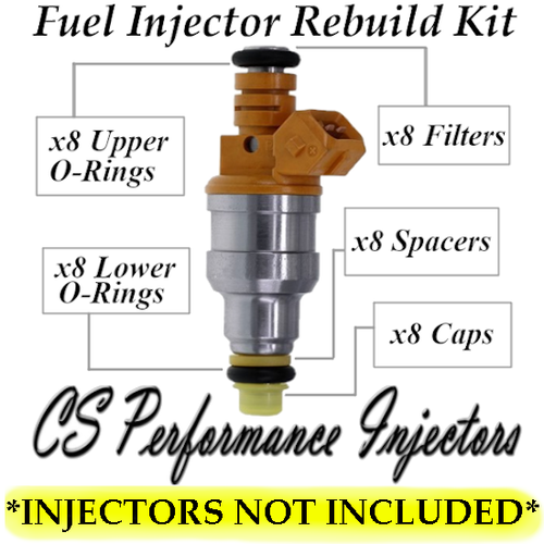 Bosch 0280150718 Fuel Injectors Rebuild Kit for 1985-1997 Ford 5.8L 5 ...