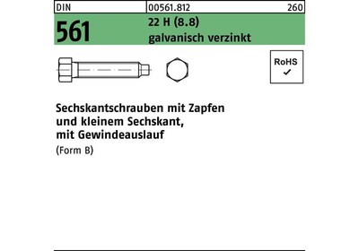 Reyher Sechskantschraube DIN 561 m.Zapfen BM 20 x 100 22 H (8.8) galvanisch v... | eBay.de