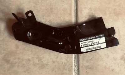 Genuine OEM 2013-19 Nissan Sentra F2520-3SGMA Passenger Outer Radiator ...