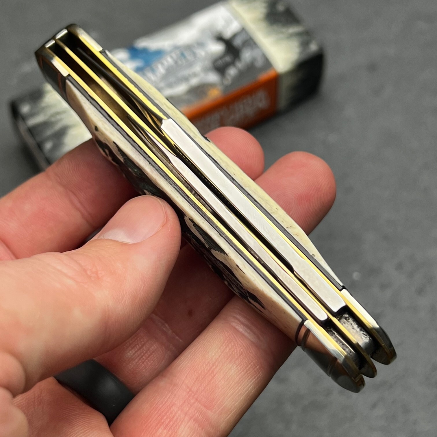 MARBLE'S Cattleman Black Stag Bone Handles 2 Blade Folding Pen Clip ...