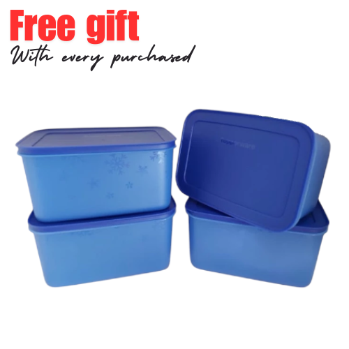 Tupperware Blue Freezer Mates Plus Medium Deep Snowflake Container 2.5L ...
