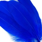 Royal Blue Goose Feathers 6-8" 12 Pc Wedding Millinery Crafts ...