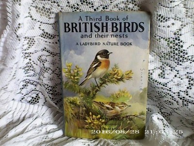 Rare Ladybird Book Vintage First Edition British Birds First Edition ...