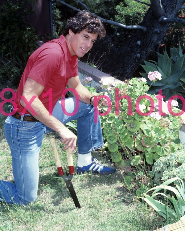 BRODIE GREER #127,beefcake,chips,the love boat,8x10 PHOTO | eBay