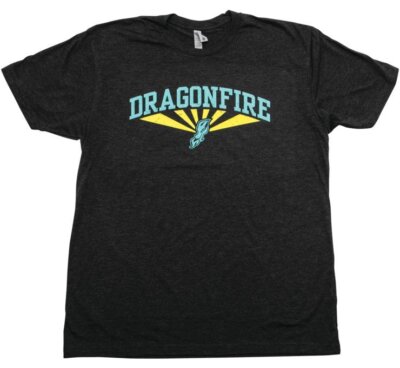 Dragonfire Racing AZ Tee M Black 523118 | eBay