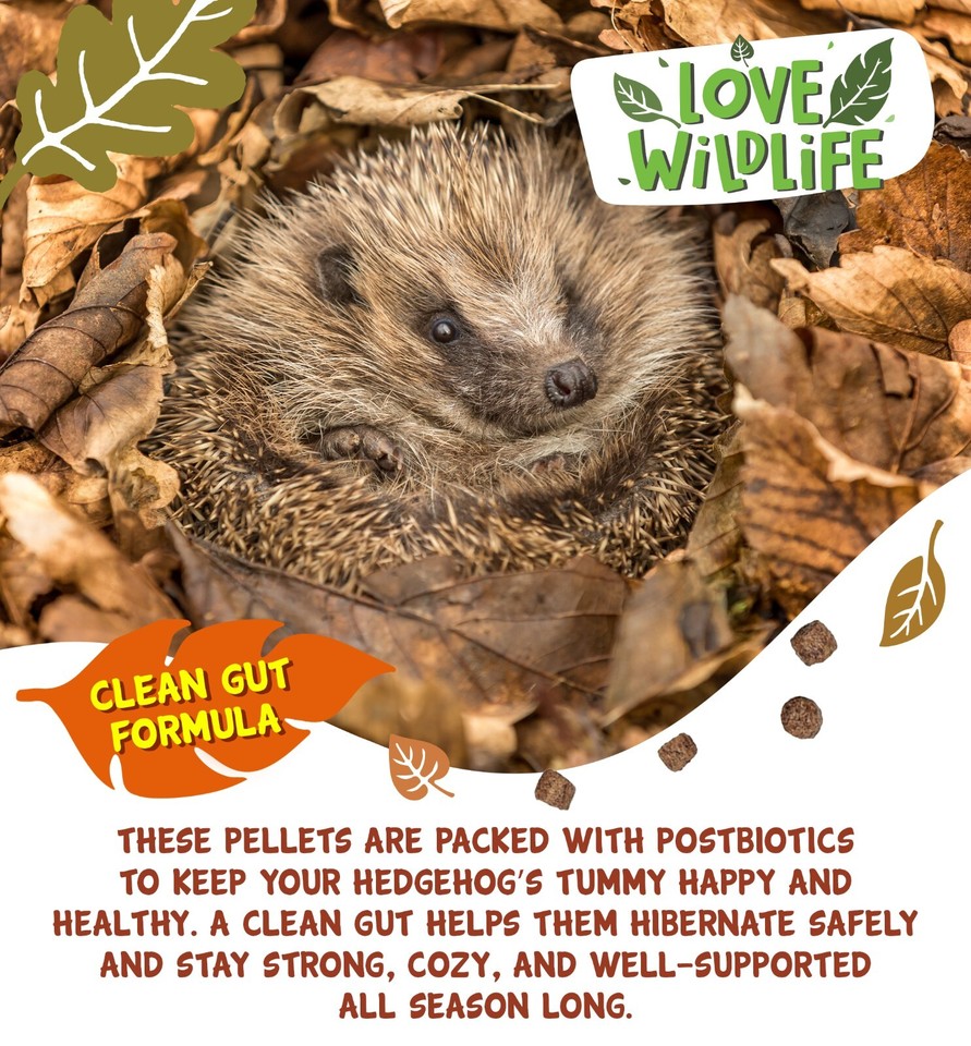 Love Wildlife Hedgehog Food 5ltr Bucket | Natural Pellets for Native ...