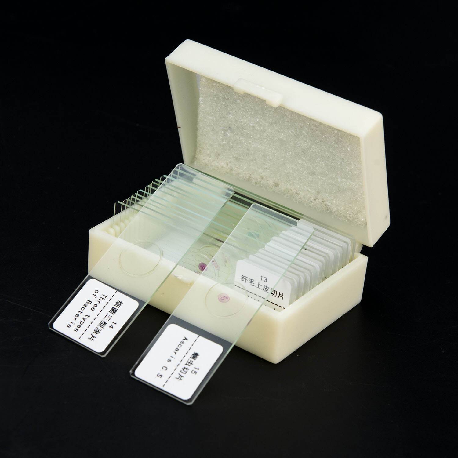 10pcs-200pcs Glass Prepared Microscope Slides Specimen for Lab ...