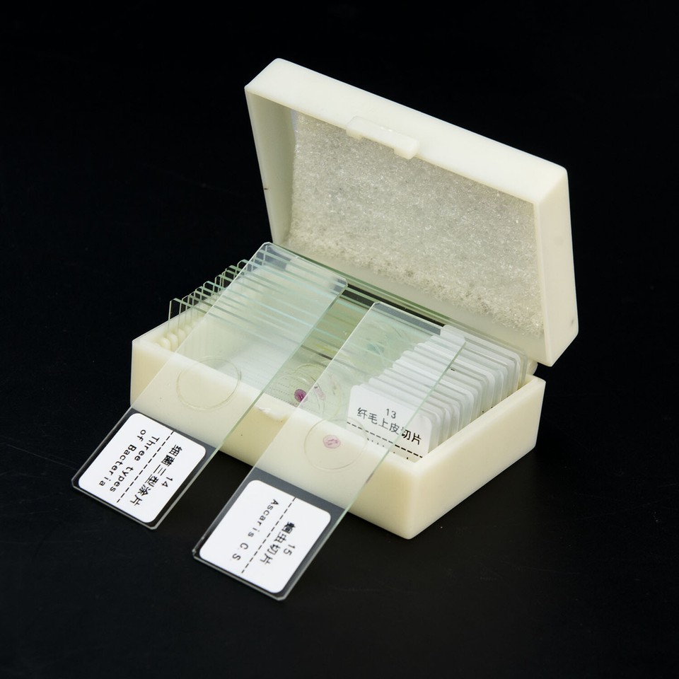 10pcs-200pcs Glass Prepared Microscope Slides Specimen for Lab ...