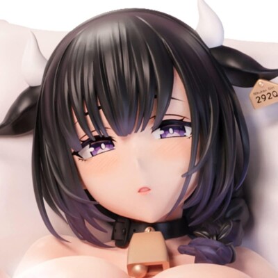 NEW Nikkan Girl Claire 1/6 scale painted Height 133mm PMMA figure ...