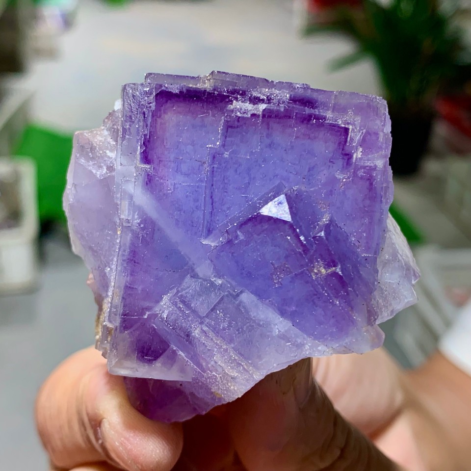 109G Rare transparent purple green cubic fluorite mineral crystal ...