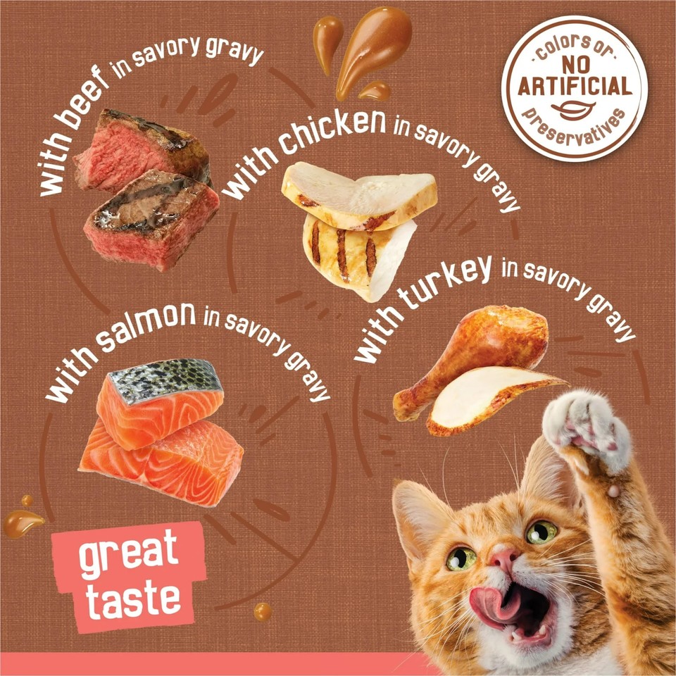 Purina Friskies Gravy Wet Cat Food Variety Pack Extra Gravy Chunky 5.5 ...