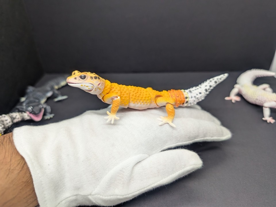 Bandai Gashapon Leopard Gecko 6.3in Realistic Figure Free Shipping from ...