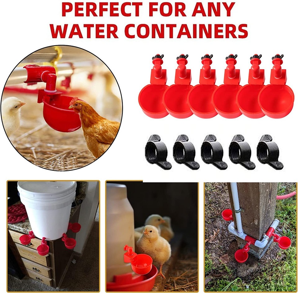 6PCS Chicken Automatic Watering Cups Drinker Waterer for Duck Quail ...