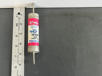 FERRAZ SHAWMUT TR100R- 100AMP, 250V, CLASS RK5, SMART-SPOT FUSE | eBay