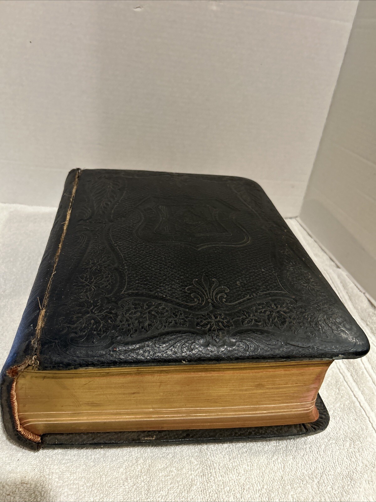 1891 Holman Self-Explanatory Edition Leather Holy Bible Masonic ...