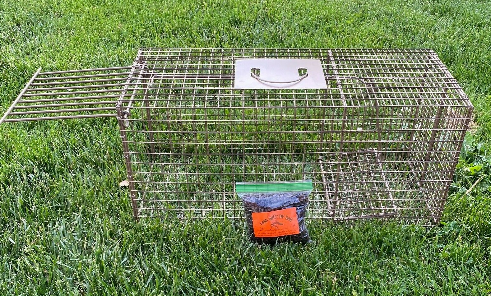 Heavy Duty Live Trap 12x12x28 with Free Bag coon Bait Safely Relocate ...
