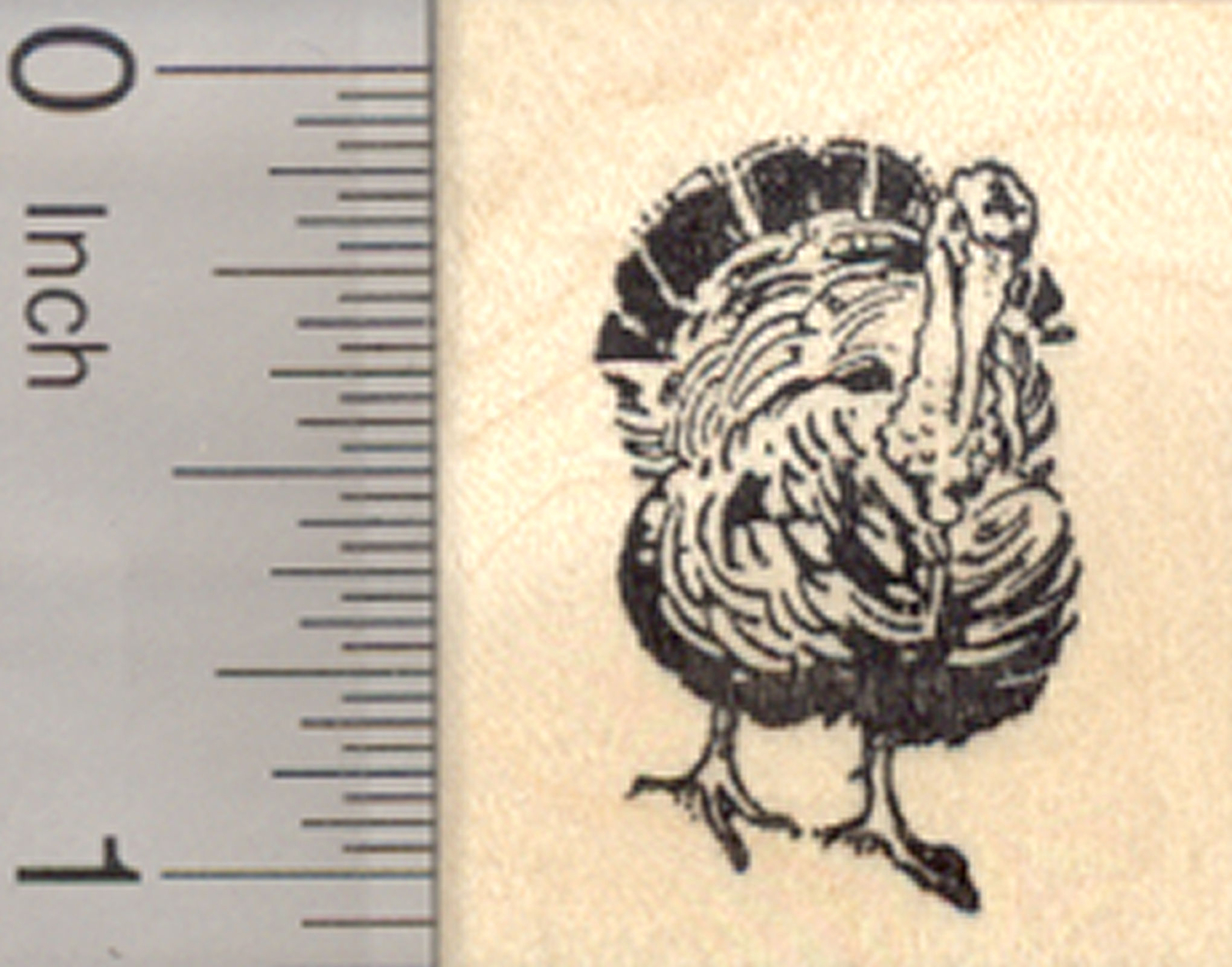Turkey Rubber Stamp, Thanksgiving Bird, Wildlife, Small D25125 WM | eBay