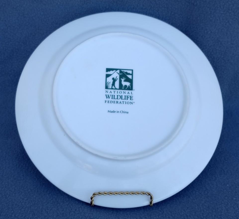 National Wildlife Federation Seashell - Dinner Plate - Conch Shell | eBay