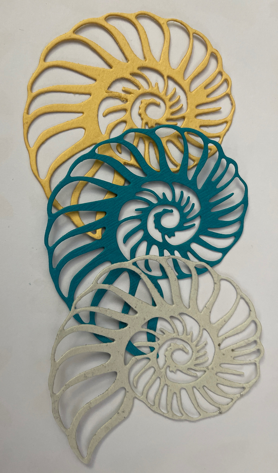 BIG SHELL Die-Cut(3pc)3"x 3" Ocean•Sea•Sand•Tropical •Vacation•Water ...