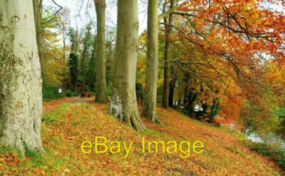 Photo 6x4 Autumn at Huntly Wood near Banbridge (1) See [[1029935]]. In ...