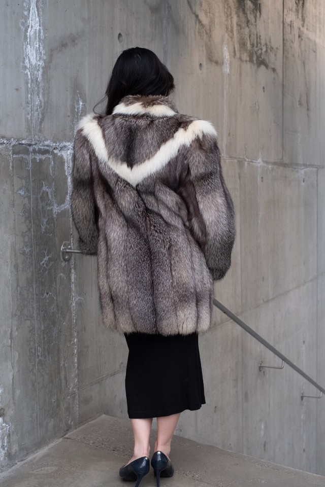 Indigo Fox Fur with Polar Fox Coat | Beautiful Cropped Fox Coat ...