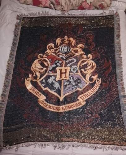Harry Potter Draco Dormiens Nunquam Titillandus Throw Blanket 60" x 48 ...