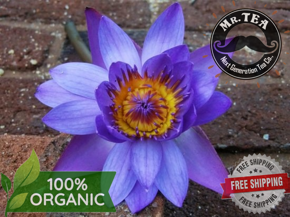 Organic Natural BLUE LOTUS Nymphaea Caerulea Dried Flower 100%Harbal ...