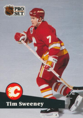 1991-92 Pro Set French #364 TIM SWEENEY - Calgary Flames | eBay.de