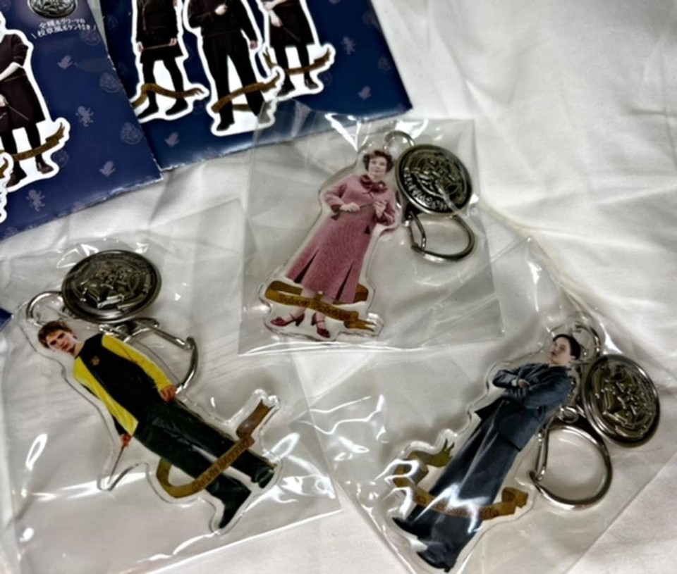 Harry Potter Acrylic Charm Collection 2 Cedric Tom Riddle | eBay