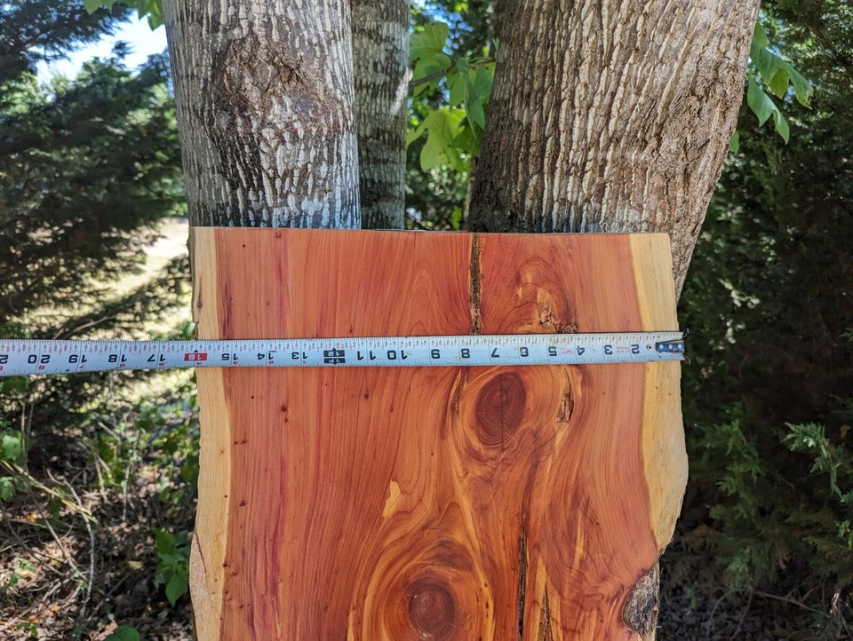 Cedar slab (thick slab) (Live Edge) Epoxy slab | eBay