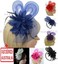 Spring Racing Race Party Melbourne Cup Feather Fascinator Headband ...