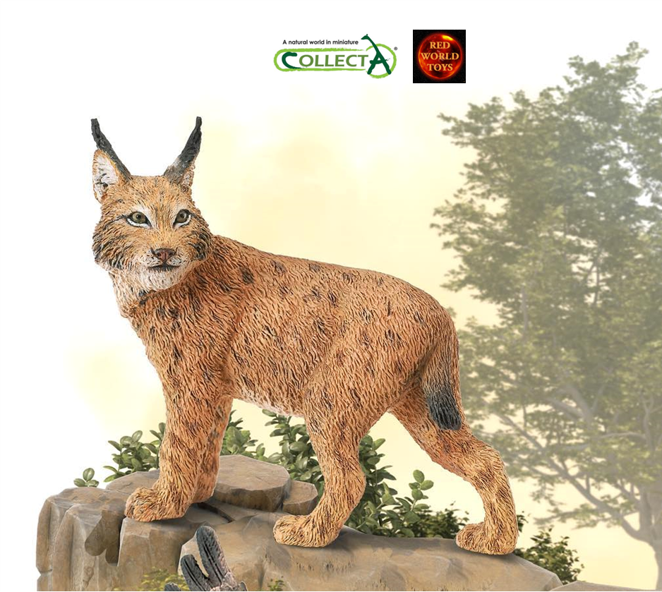 Peataí Lynx Cheanada I Adopted Two Lynxes From A Fur Farm, And Now I