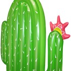 Inflatable Flower Cactus Float | eBay