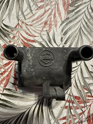 2011 Harley Touring Delphi Ignition Coil 31696-07A | eBay