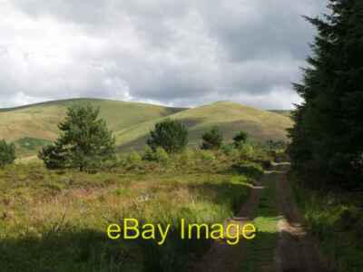 Photo 6x4 Forest track Portmore Reservoir Darnhall Mains The edge of a ...