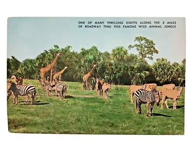 Africa USA Florida's Fabulous Uncaged Zoo Boca Raton Florida Postcard ...