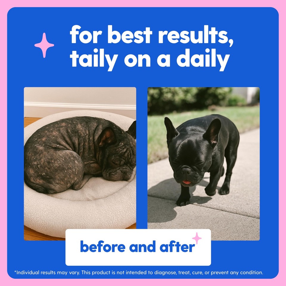 Skin and Coat Supplement for Dogs, Cats | Taily Liquid Collagen for ...