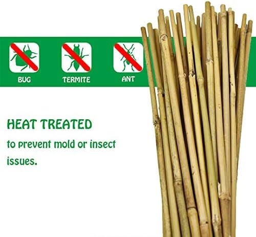 Extra Large Thick Bamboo Canes 2ft-6ft Plants Supporting Pole Sticks ...