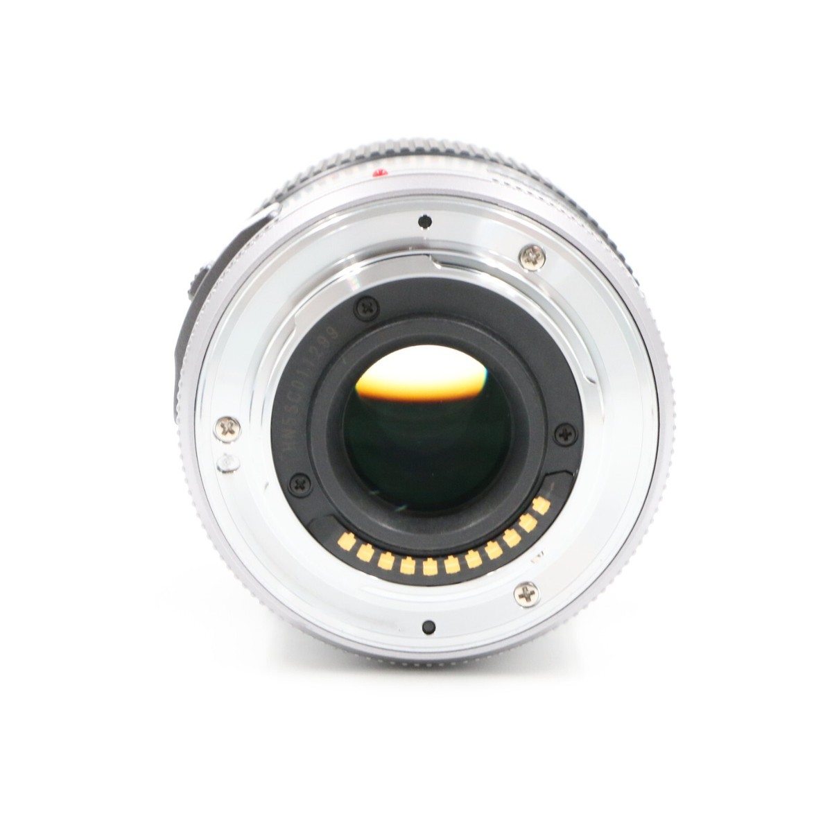 Panasonic LUMIX G X VARIO PZ 45-175mm 4.0-5.6 ASPH. Power Panasonic LUMIX G X VARIO PZ 45-175mm 4.0-5.6 ASPH. Power