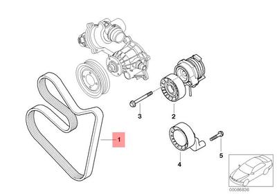 Genuine BMW E53 E60 E60N E61 E61N V Ribbed belt PK6 X 1548 OEM ...