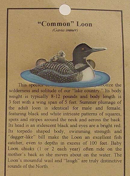 3-NEW COMMON LOON BIRD HAT PIN LAPEL PINS | eBay