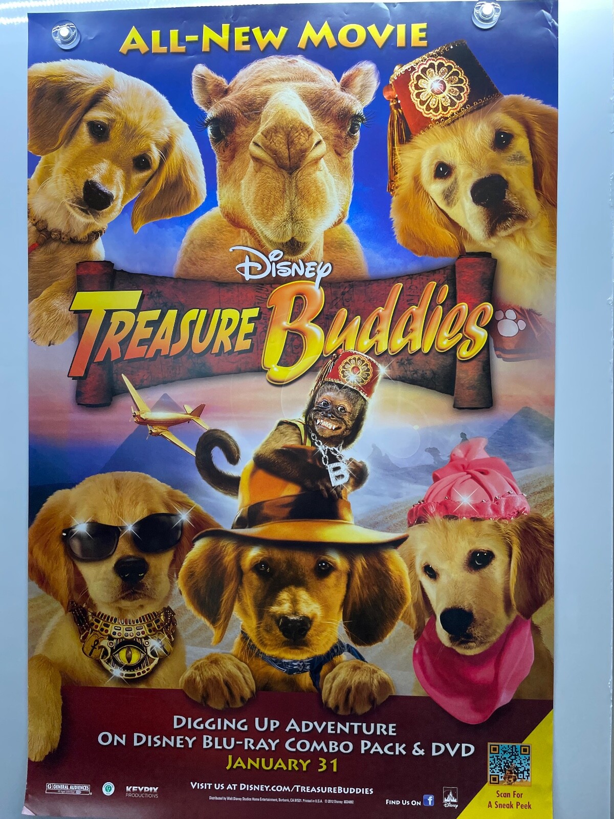 Treasure Buddies Poster