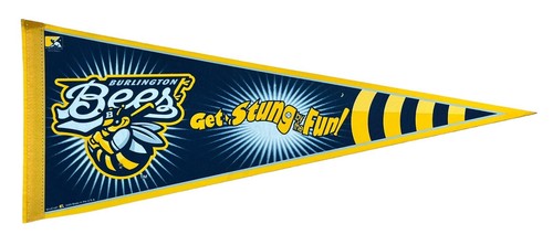 Vintage Burlington Bees MWL Minor League Baseball 29" Pennant Get Stung ...