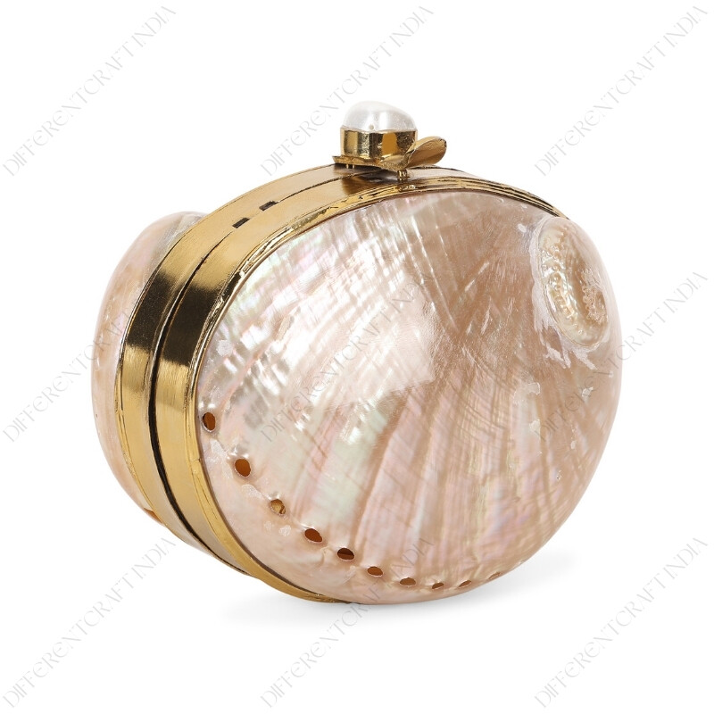 NEW Different Craft India Mini Pink Abalone Seashell Purse | Shell ...